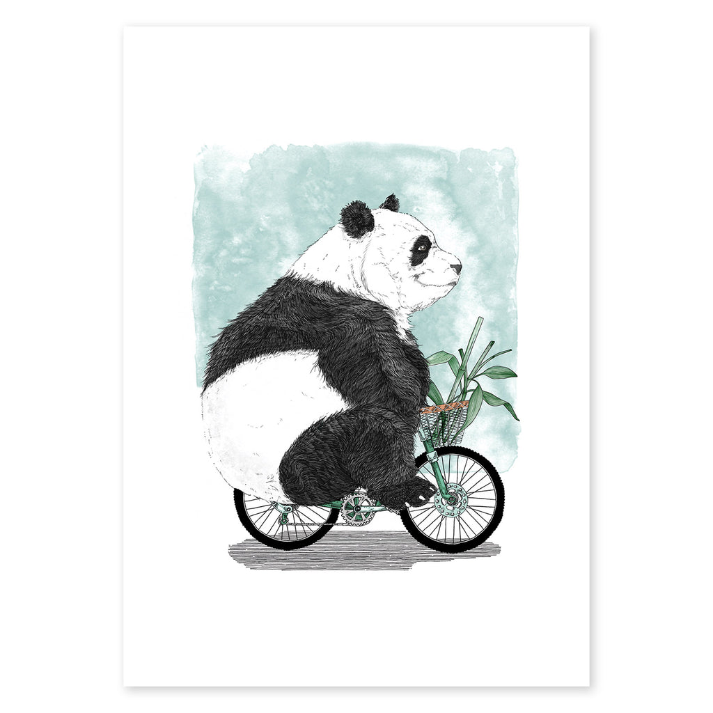 Rolling Panda | Fine Art Print